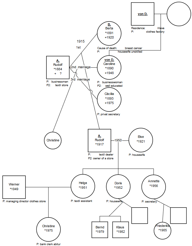 The Genogram in Systemic Personality Analysis ~ Institut Johnson