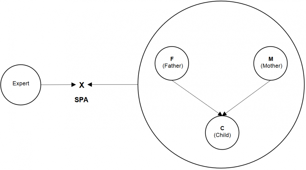 The Genogram in Systemic Personality Analysis ~ Institut Johnson