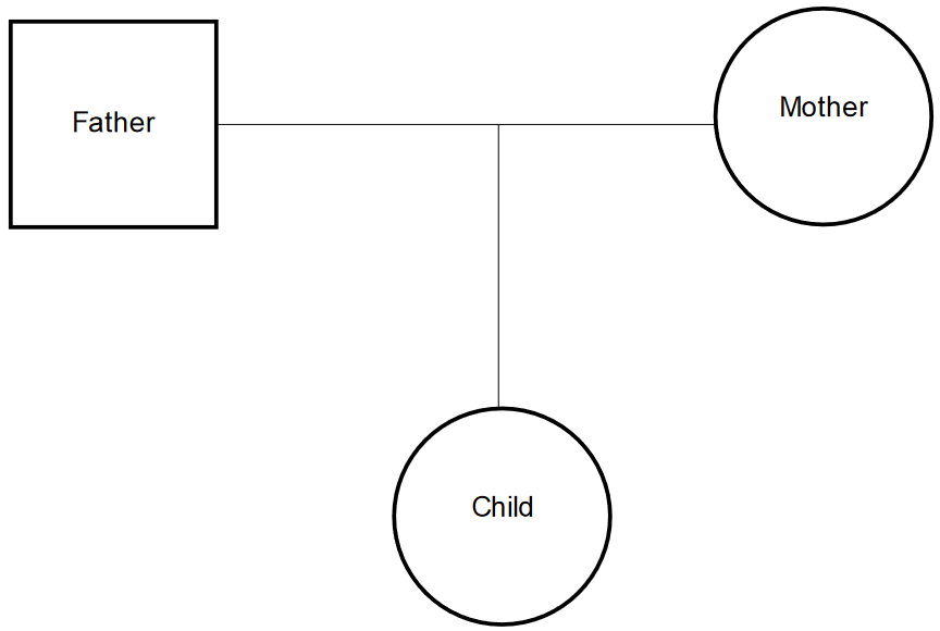 The Genogram in Systemic Personality Analysis ~ Institut Johnson