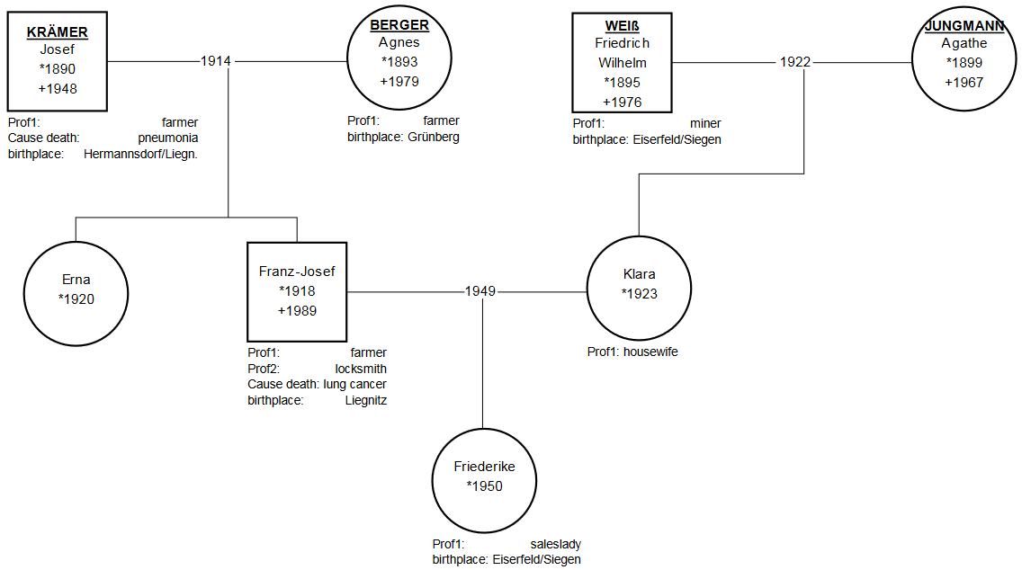 The Genogram in Systemic Personality Analysis ~ Institut Johnson