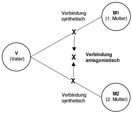 Das Genogramm in der systemischen Persönlichkeitsanalyse ~ Institut Johnson